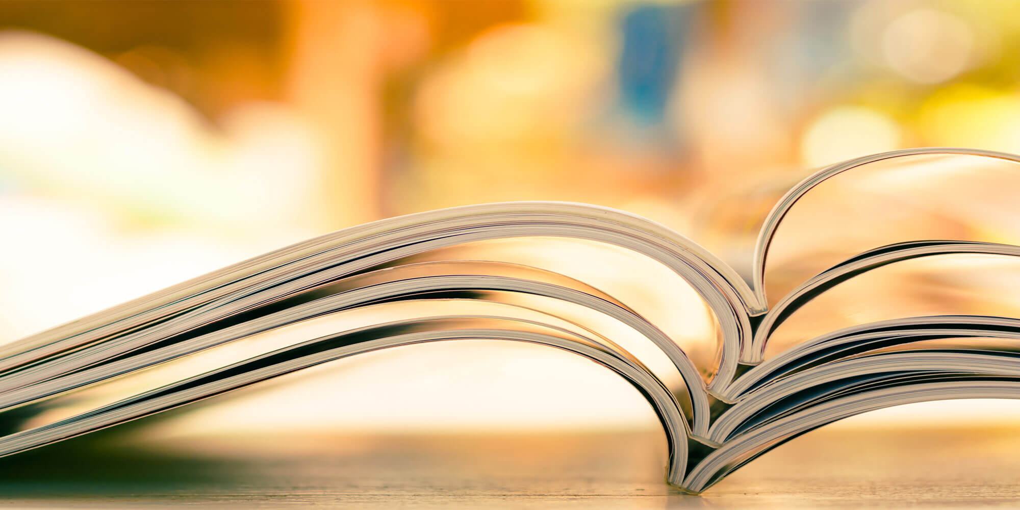 OSIPP Discussion Papers